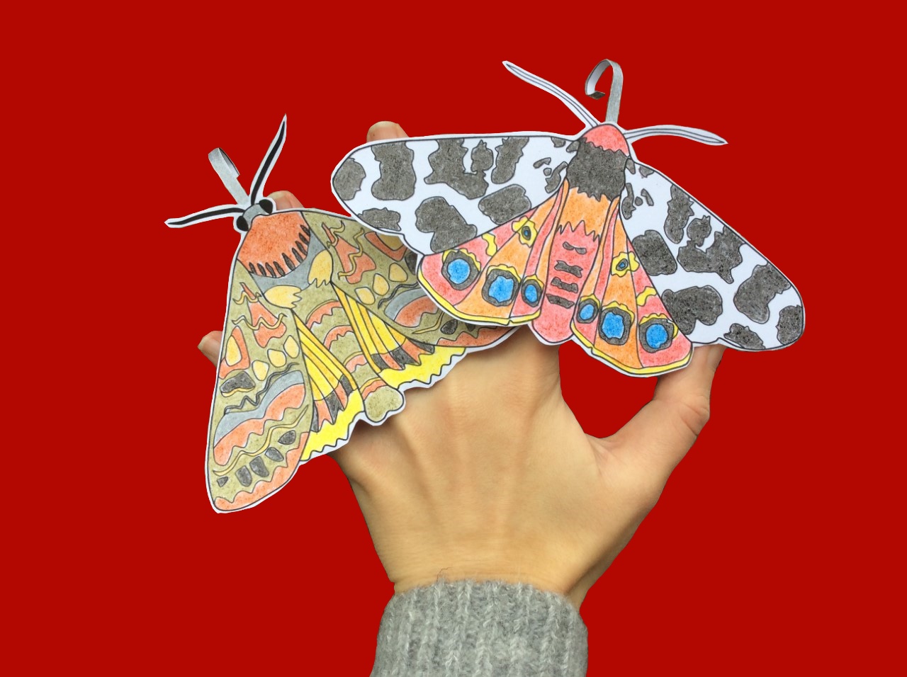 Moth Finger Puppets | The Learning Zone