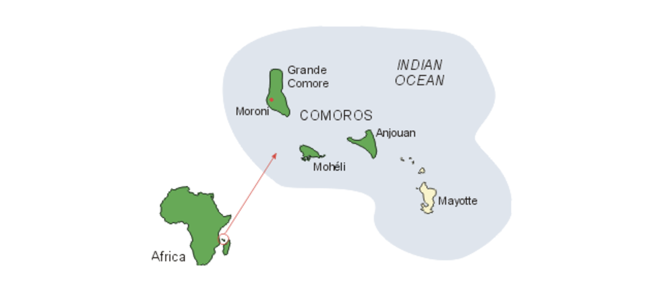 Coelacanth | The Learning Zone