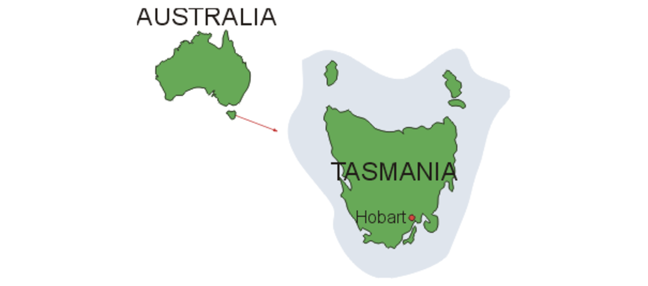 Thylacine | The Learning Zone