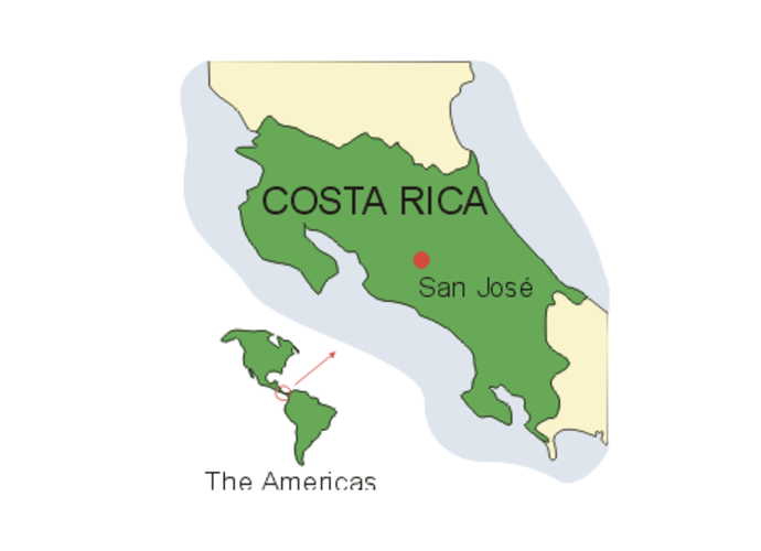 Golden toad | The Learning Zone