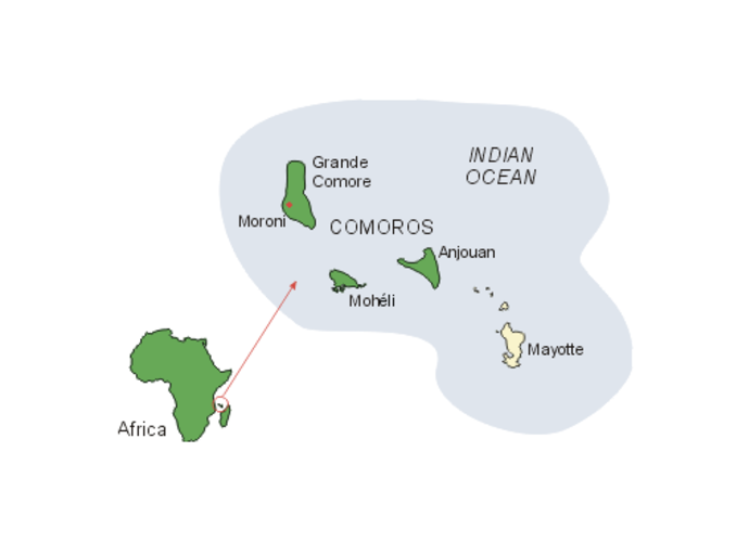 Coelacanth | The Learning Zone