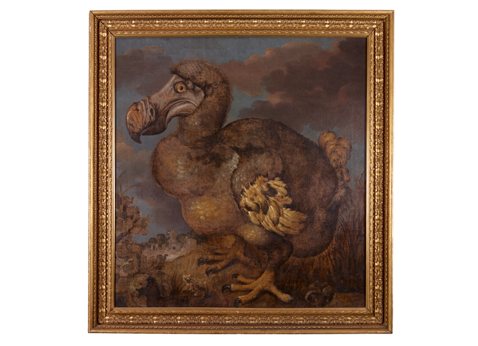 Dodo | The Learning Zone