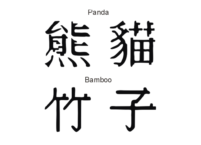 Giant panda | The Learning Zone