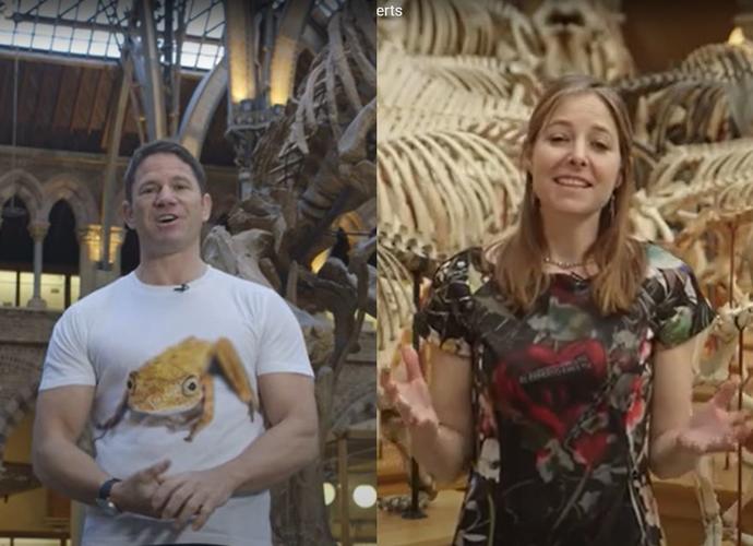 Home | The Learning Zone