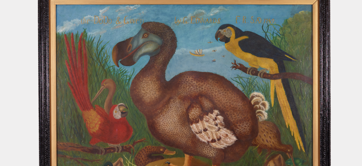 Dodo | The Learning Zone
