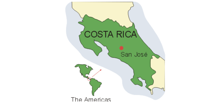 Golden toad | The Learning Zone