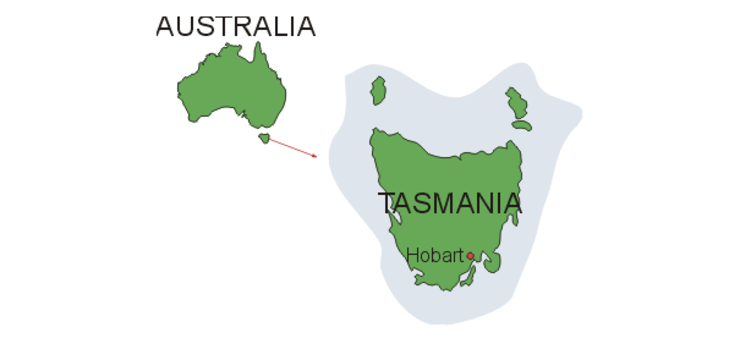 Thylacine | The Learning Zone