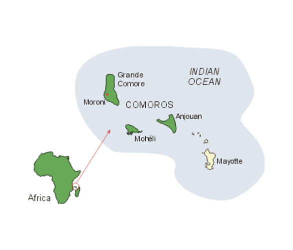 Coelacanth | The Learning Zone