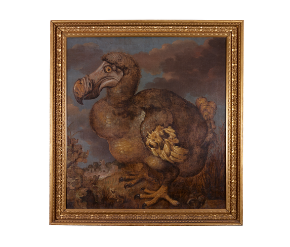 Dodo | The Learning Zone