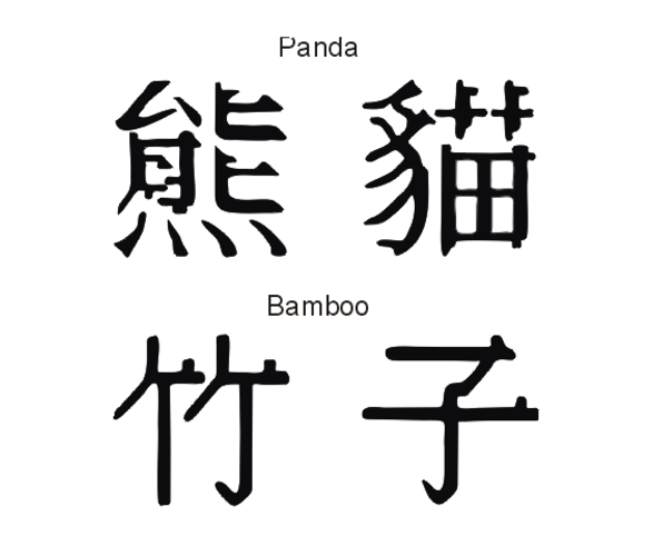 Giant panda | The Learning Zone