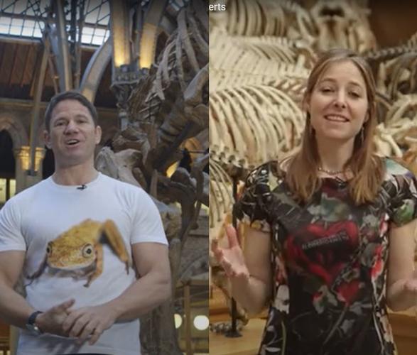 Home | The Learning Zone