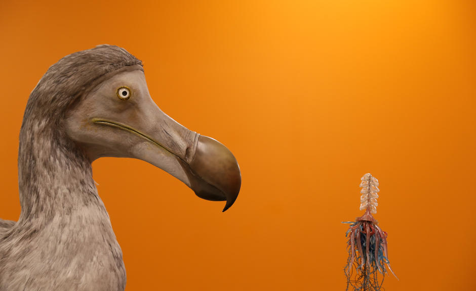 Home The Learning Zone