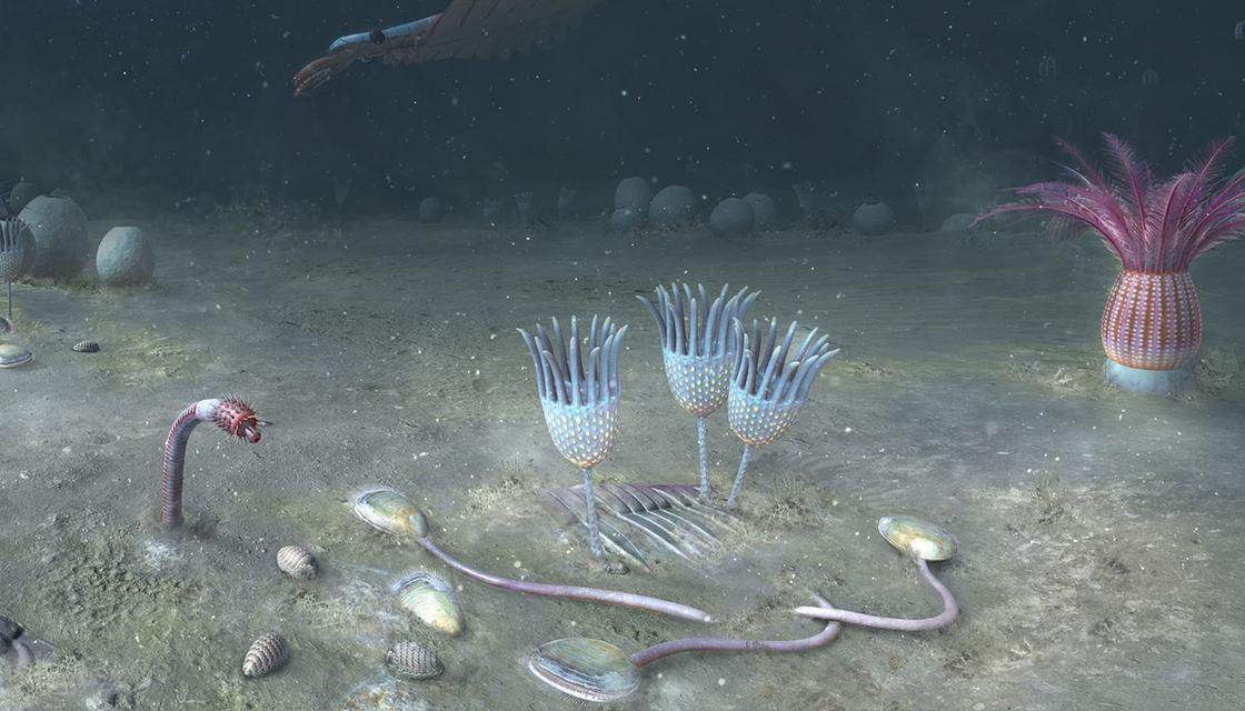 The Silurian, Ordovician and the Cambrian | The Learning Zone