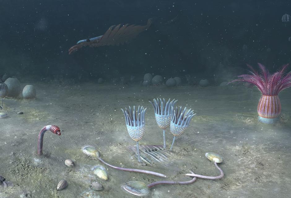 The Silurian, Ordovician and the Cambrian | The Learning Zone