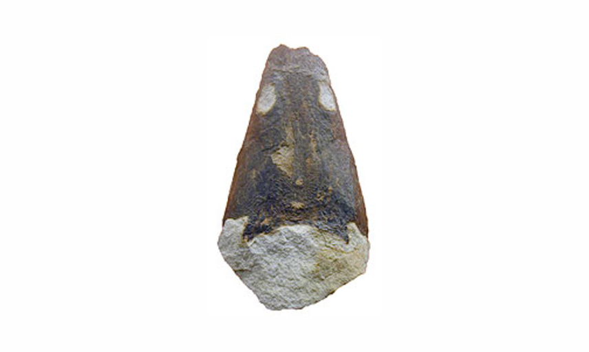 The Triassic and Permian | The Learning Zone