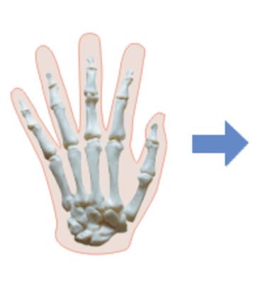 Growth | The Learning Zone