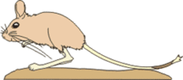 Excretion | The Learning Zone